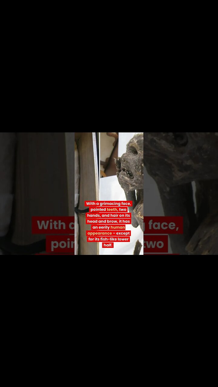 Mystery of 300-year-old mummified mermaid with creepy human face ...