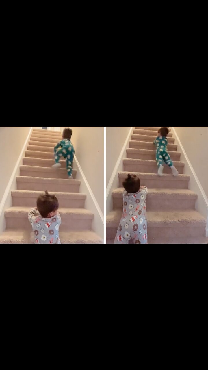 Crazy Kids Have Fun Sliding Down The Stairs