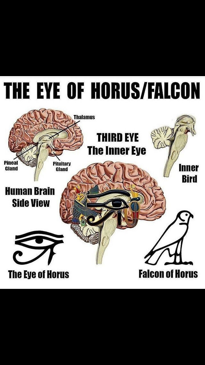 THE REAL REASON CELEBRITIES COVER ONE EYE! (Full Version)