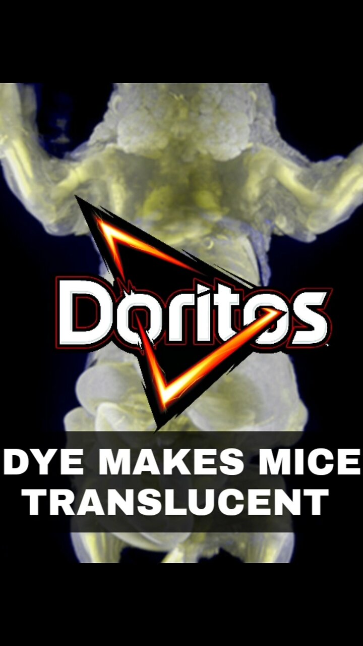 Doritos Dye Makes Mice TRANSLUCENT 🐭