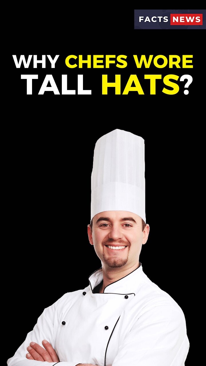 Why chefs wore tall hats #factsnews #shorts