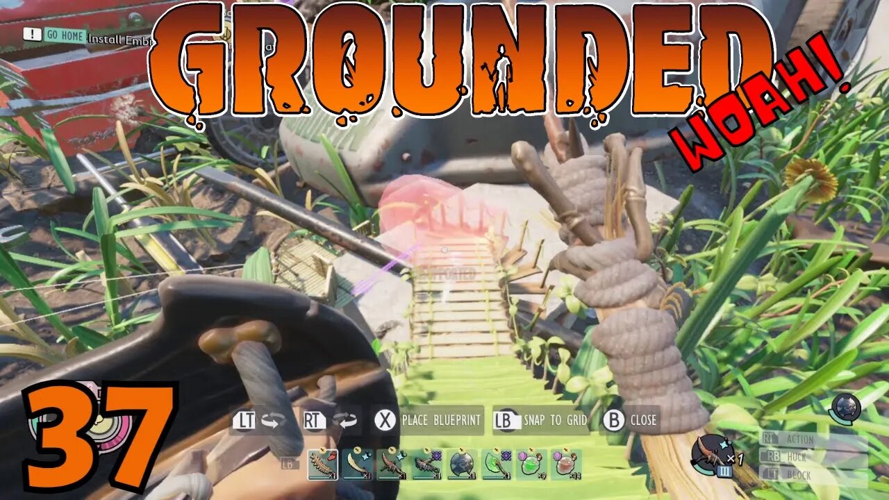 With Her Farming Box Ellie Heads Back To The Ant Hill - Grounded ...