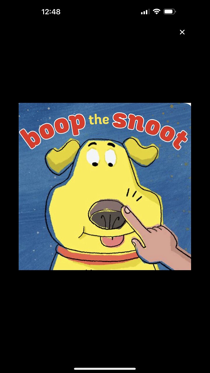 Boop The Snoot! | 4K