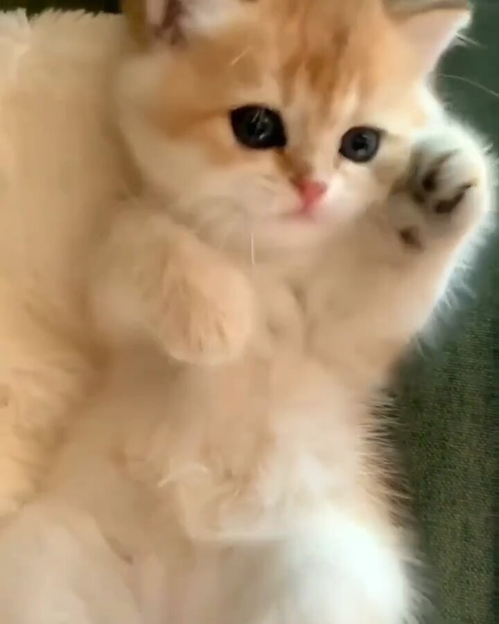 Wow 🤩 catch cute 🥰 baby 🍼 | mama baby doll love 💗