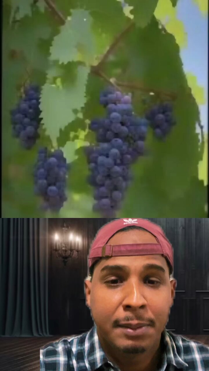 Que tú ves en verdad si ves a Jesús o brócoli 🥦 suscríbete 🔥😱#viral # ...