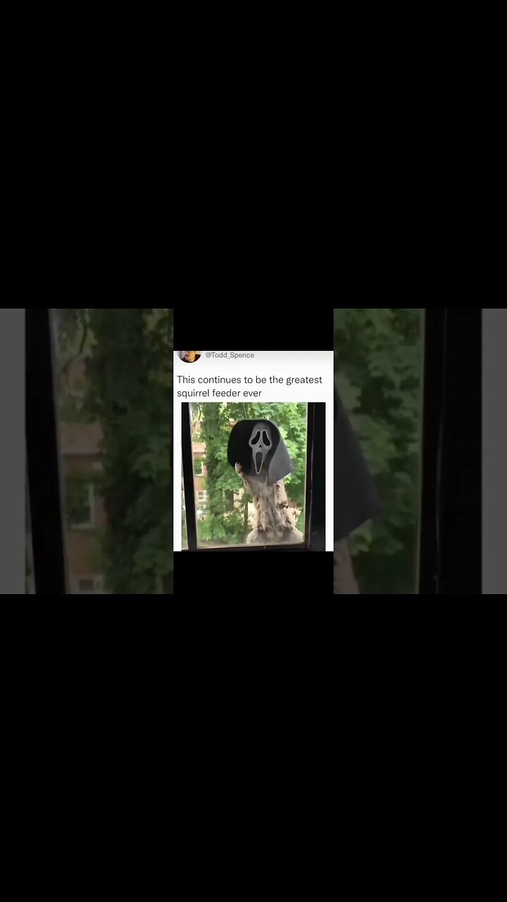 Memes #meme #memefunny #memes