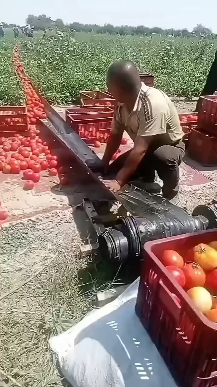 Chinese Work Techniques