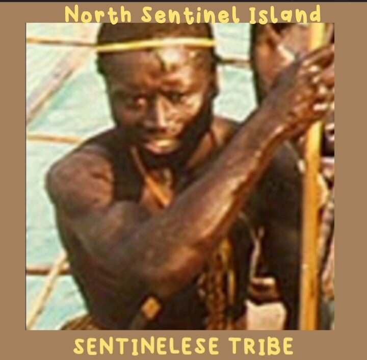SENTINELESE TRIBE