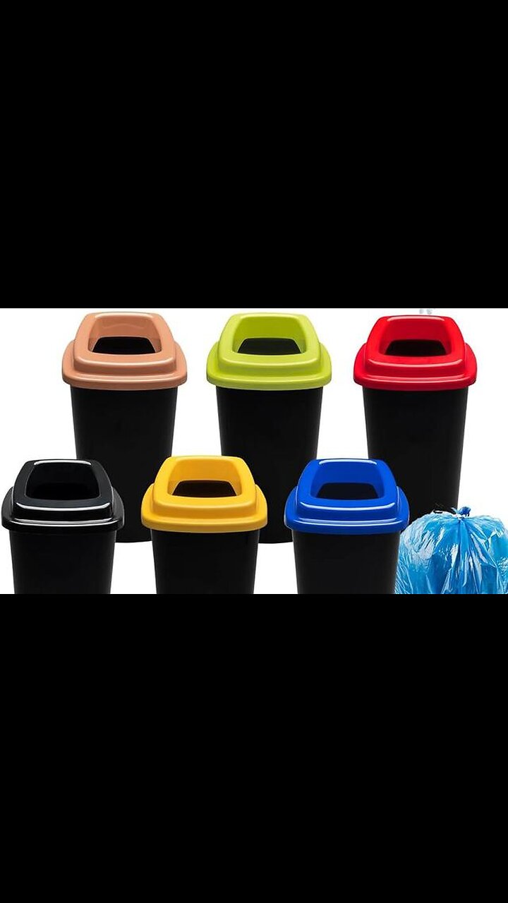 Obedience Training 101 - UK