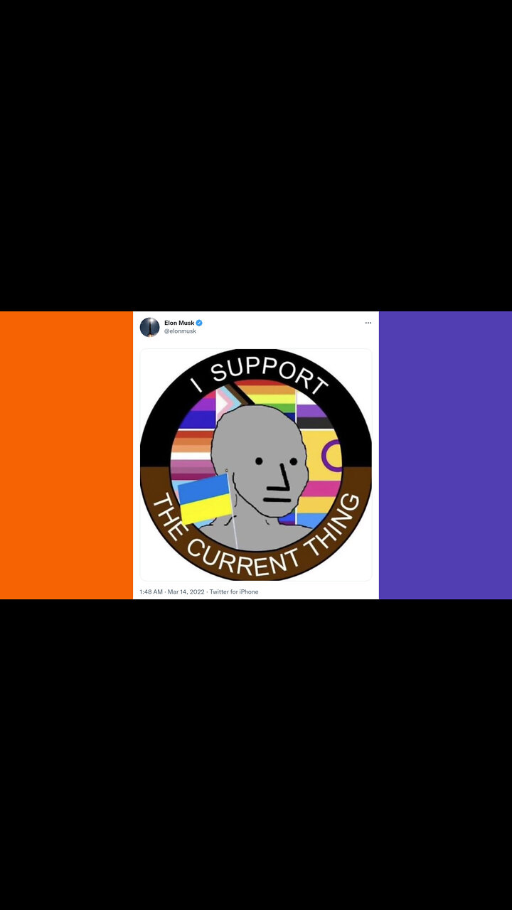 Elon Musk Mocks NPC's And Netflix