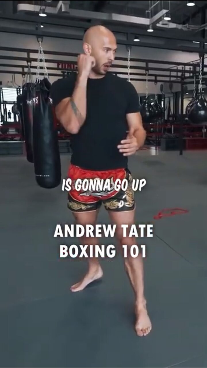Andrew Tate Teaches How To Box