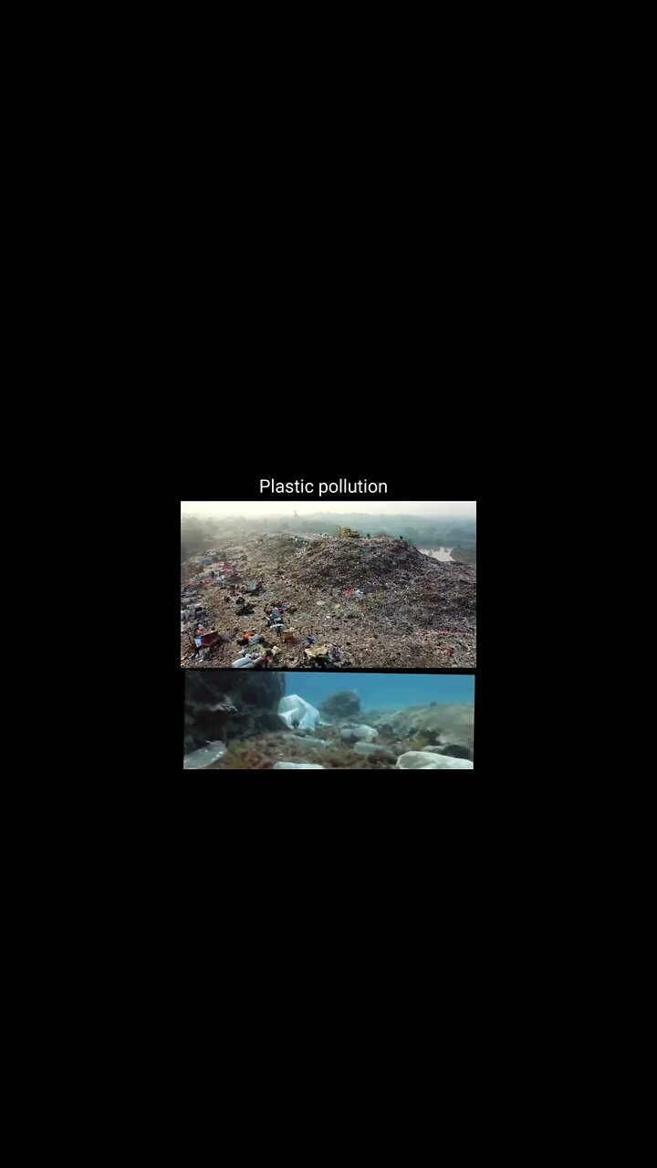 Plastic pollution shorts,#Shorts,#plasticpollution , #plasticfree, # ...