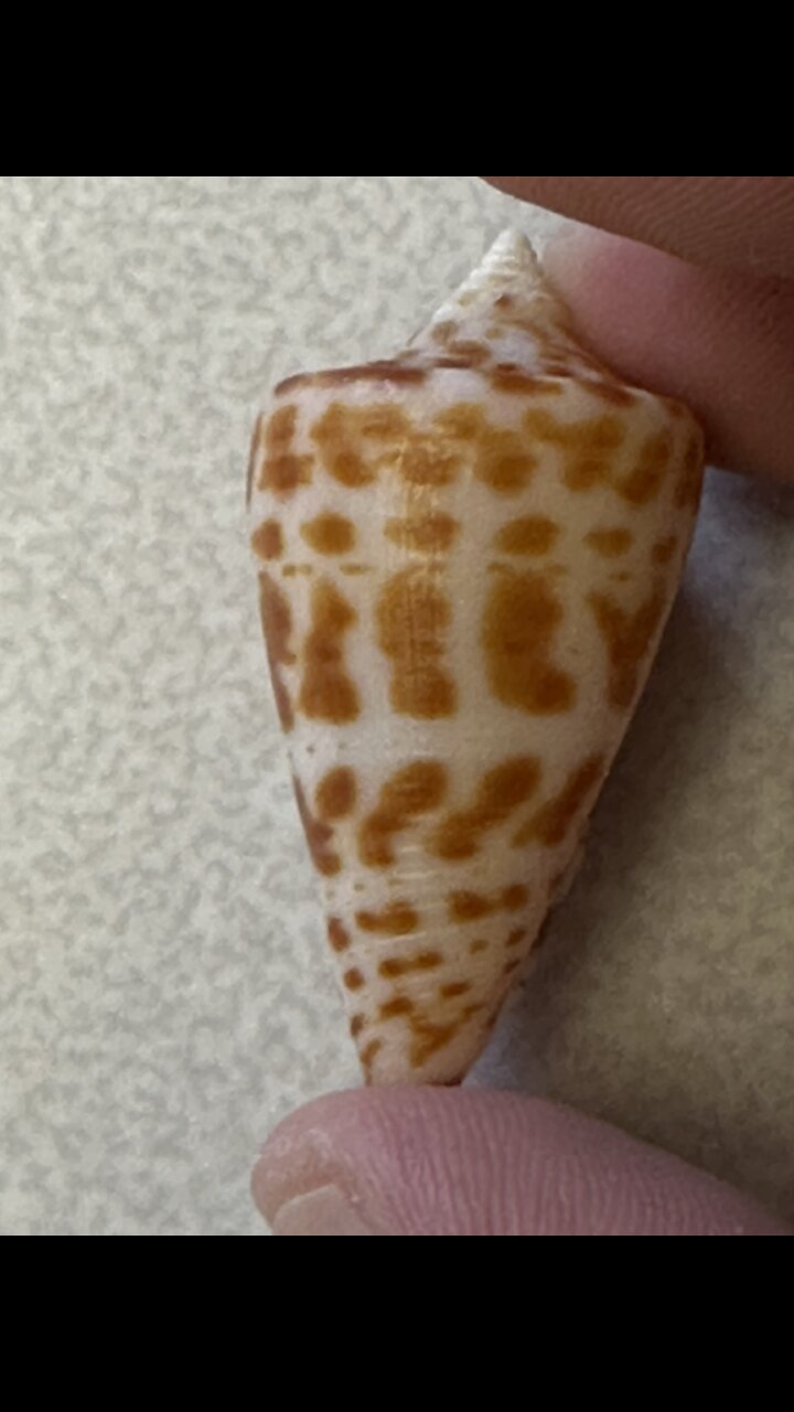 Alphabet Cones Spell Words?! | 4K