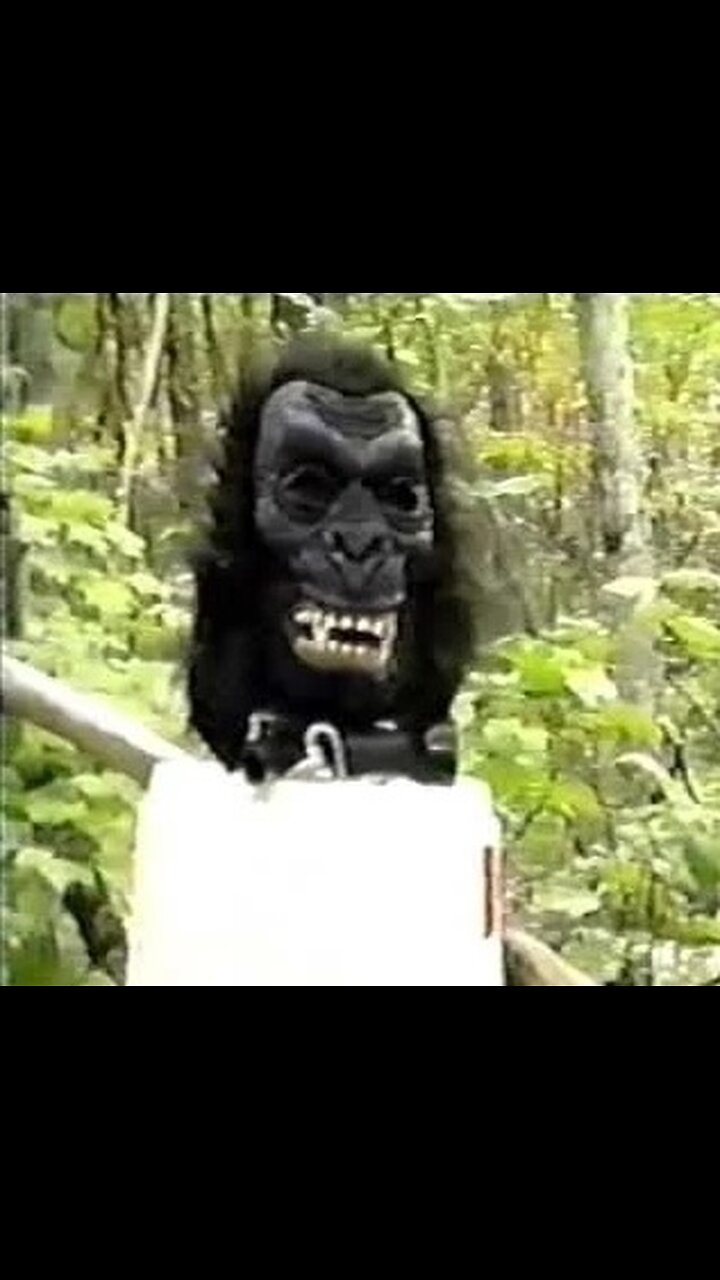 STAR ROBOT - Gorilla Guard