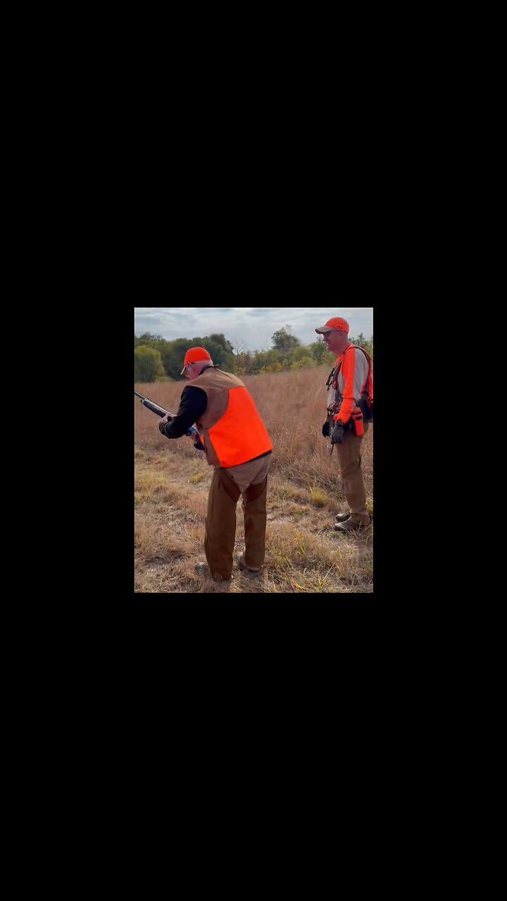 YIKES: Tim Walz Trying To Load His Gun At Pheasant Hunt Is Something To See