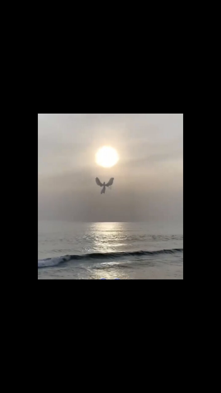 PROJECT BLUE BEAM📡🦇IN THE SKY ALL OVER THE GLOBE📡🦉🌐🦇🐚💫