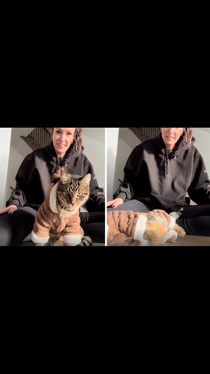 Dramatic cat has hilarious Halloween costume cat-astrophe!