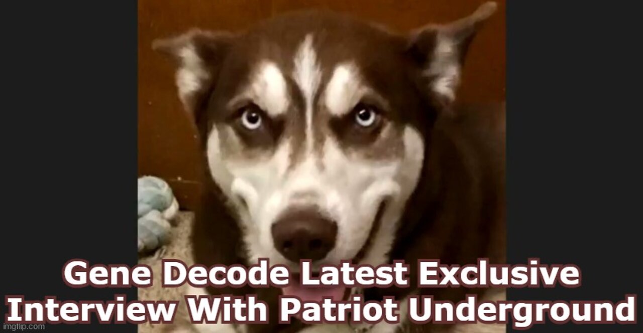 Gene Decode Latest Exclusive Interview With Patriot Underground (Must ...