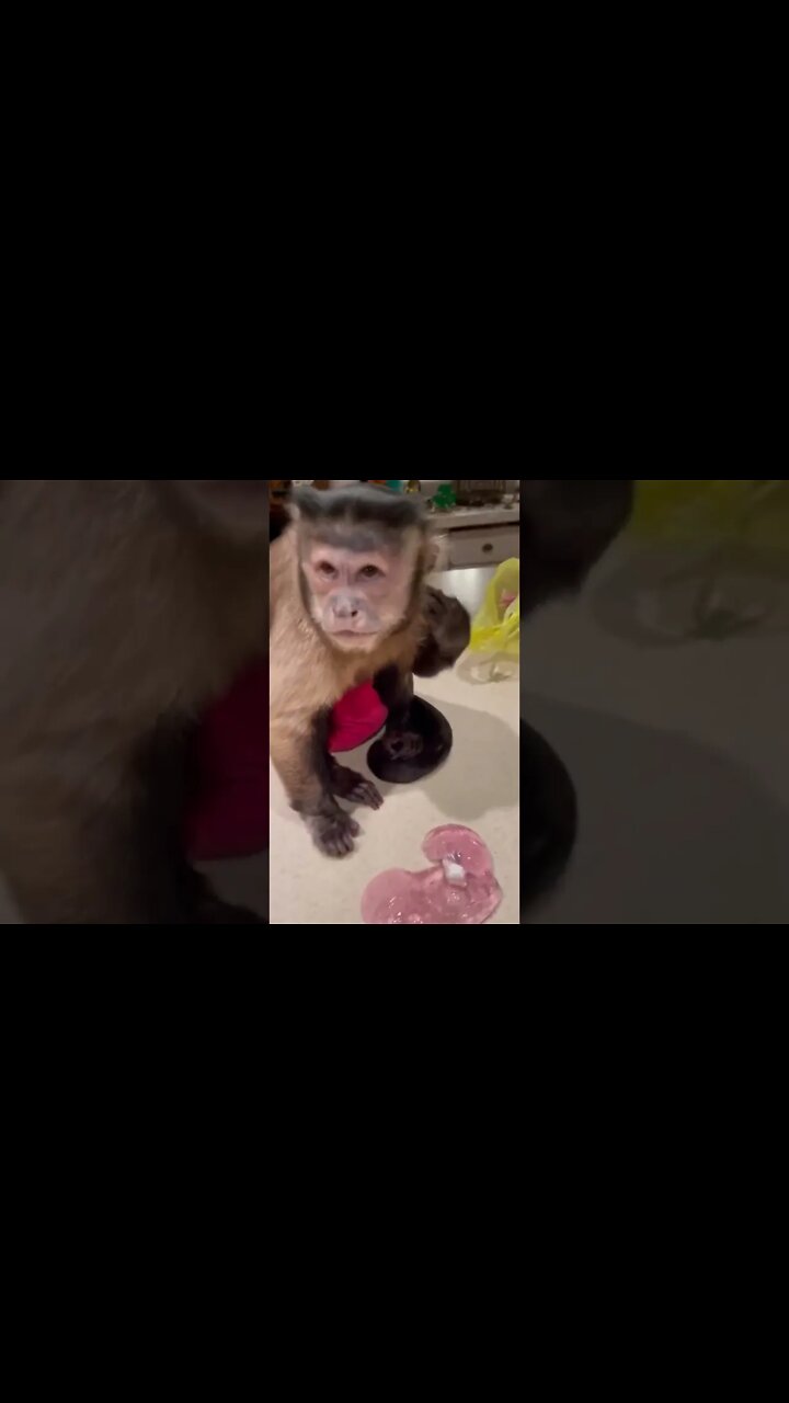 Friyay!!!! Yay goodie bag 🐒💕 Famous Gaitlyn Rae