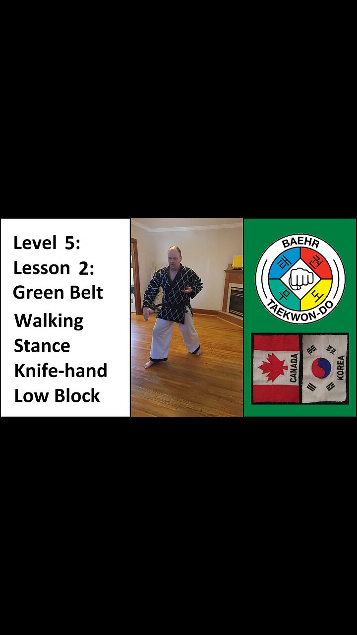 Baehr Taekwondo: 05-02: Green Belt: Walking Stance - Knife-hand Low Block