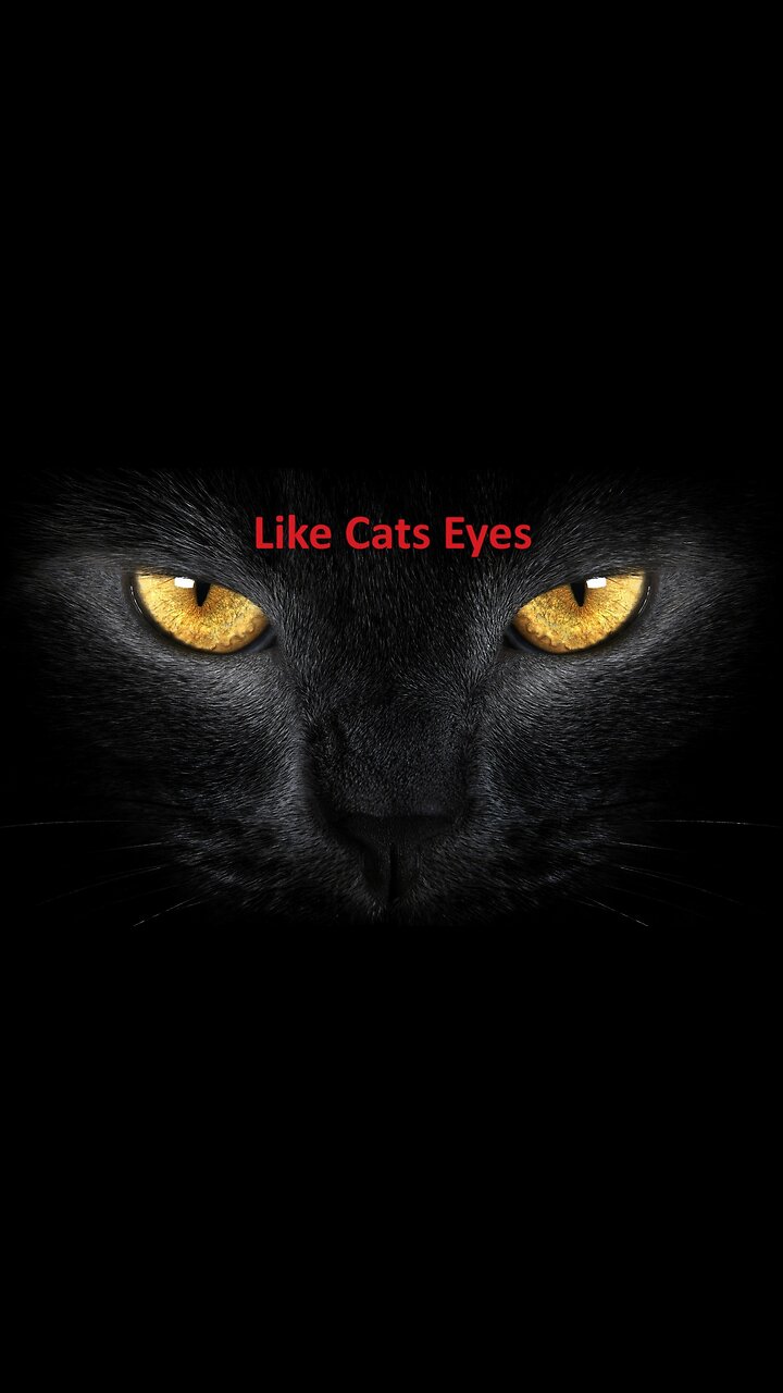 Like Cats Eyes