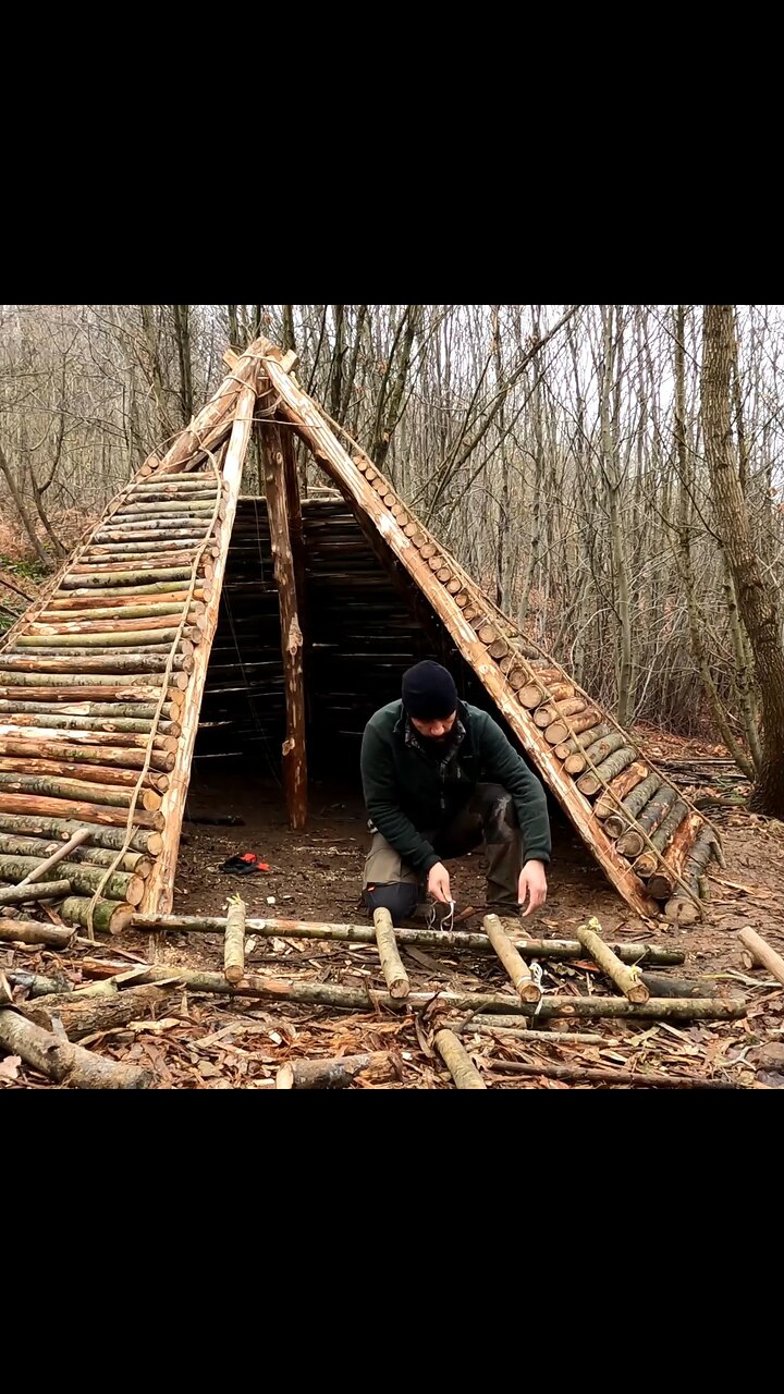 Building hunter hut in the forest
