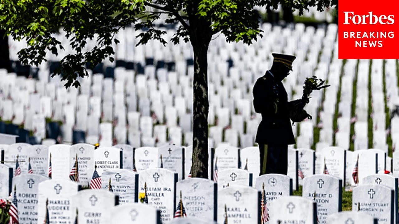 Here’s Why Section 60 Is The ‘Saddest Acre In America’: Gold Star ...