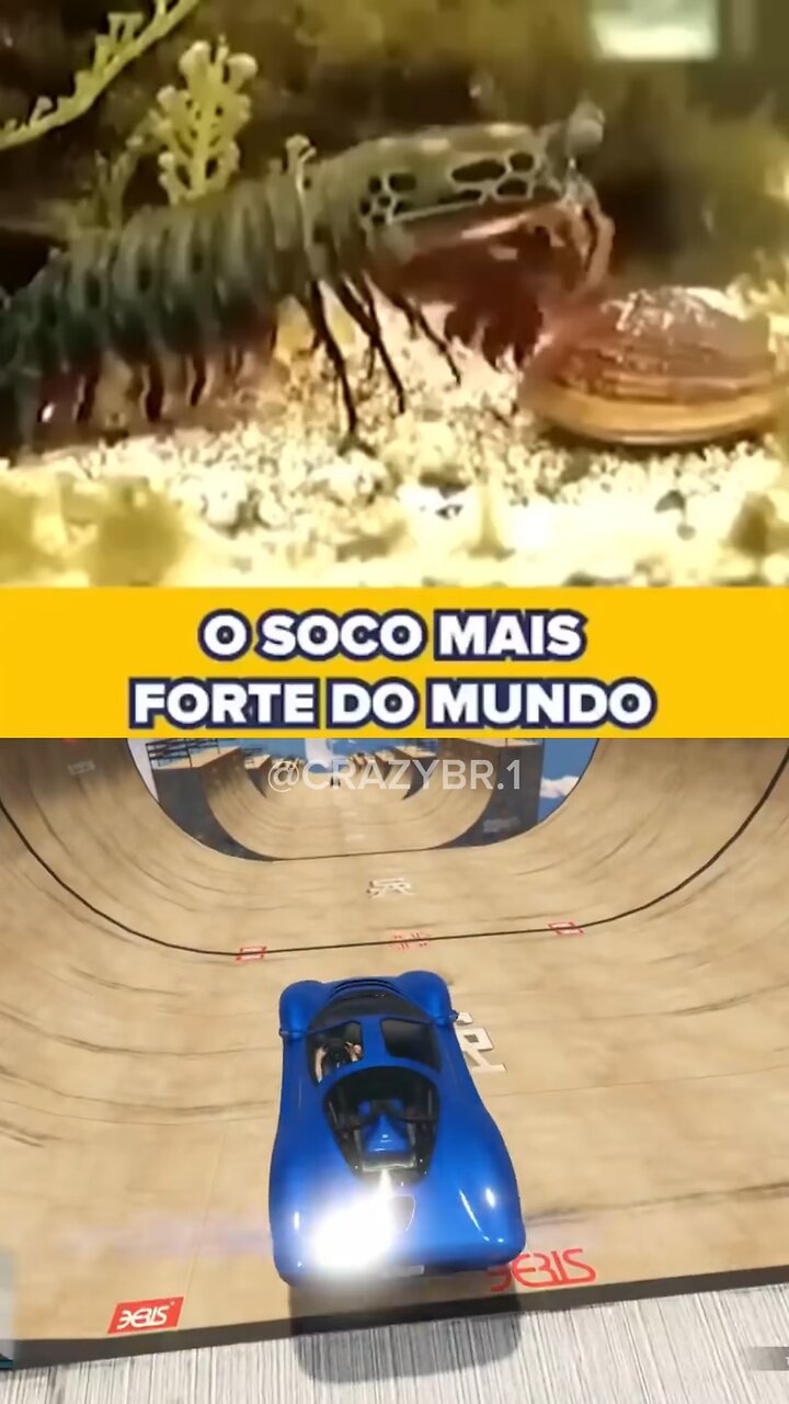 O SOCO MAIS FORTE DO MUNDO!!! #soco #lagosta #forte #mundo # ...