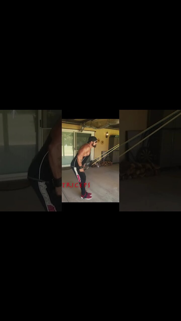 No Gym No Time No Problem Arms Exercise 1