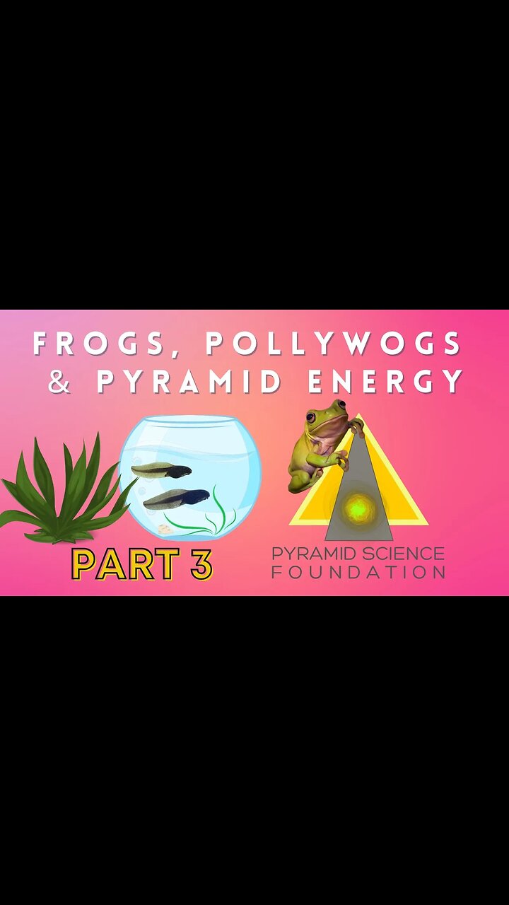 Frogs, Pollywogs & Pyramid Power Experiment Part 3