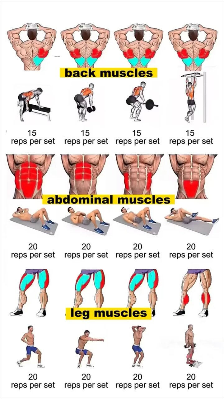 12 Must See Exercises for Back, Abs and Leg Muscles.