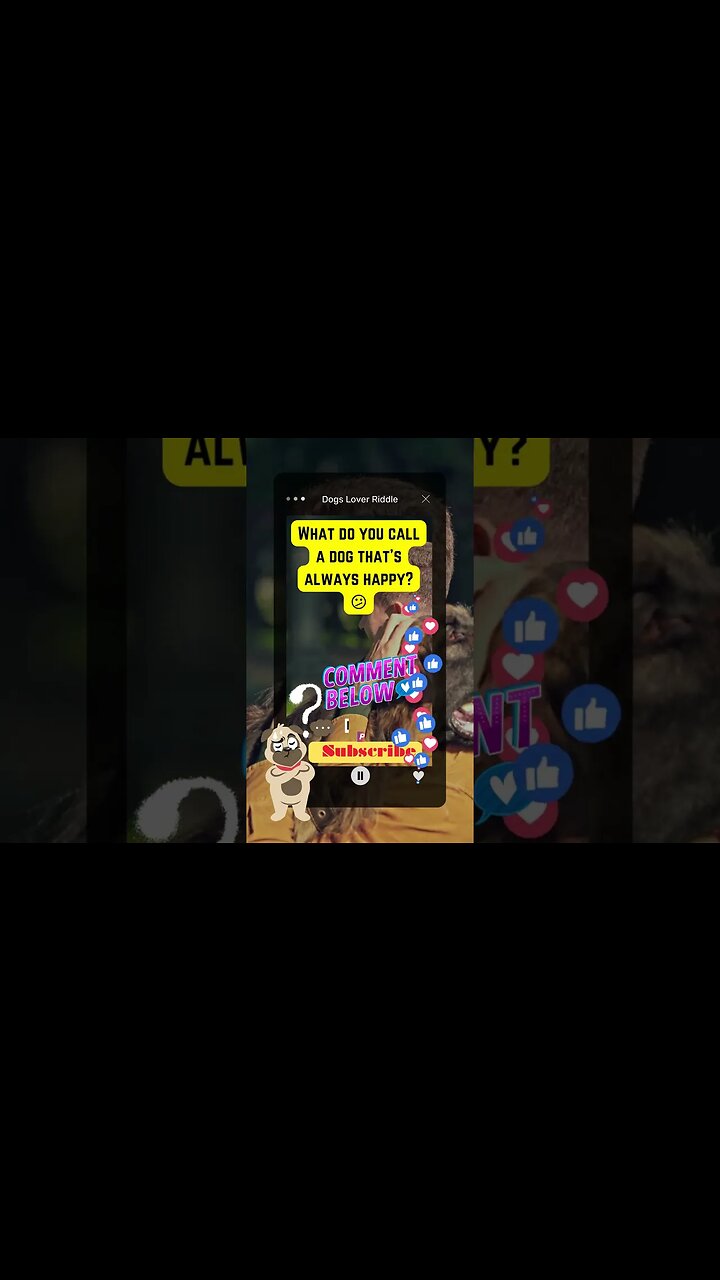 Cute animal Dogs Riddle | Dogs Riddles in English | Riddles with Answer ...