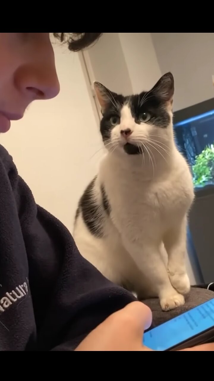 cute animals, the most cute animals ever