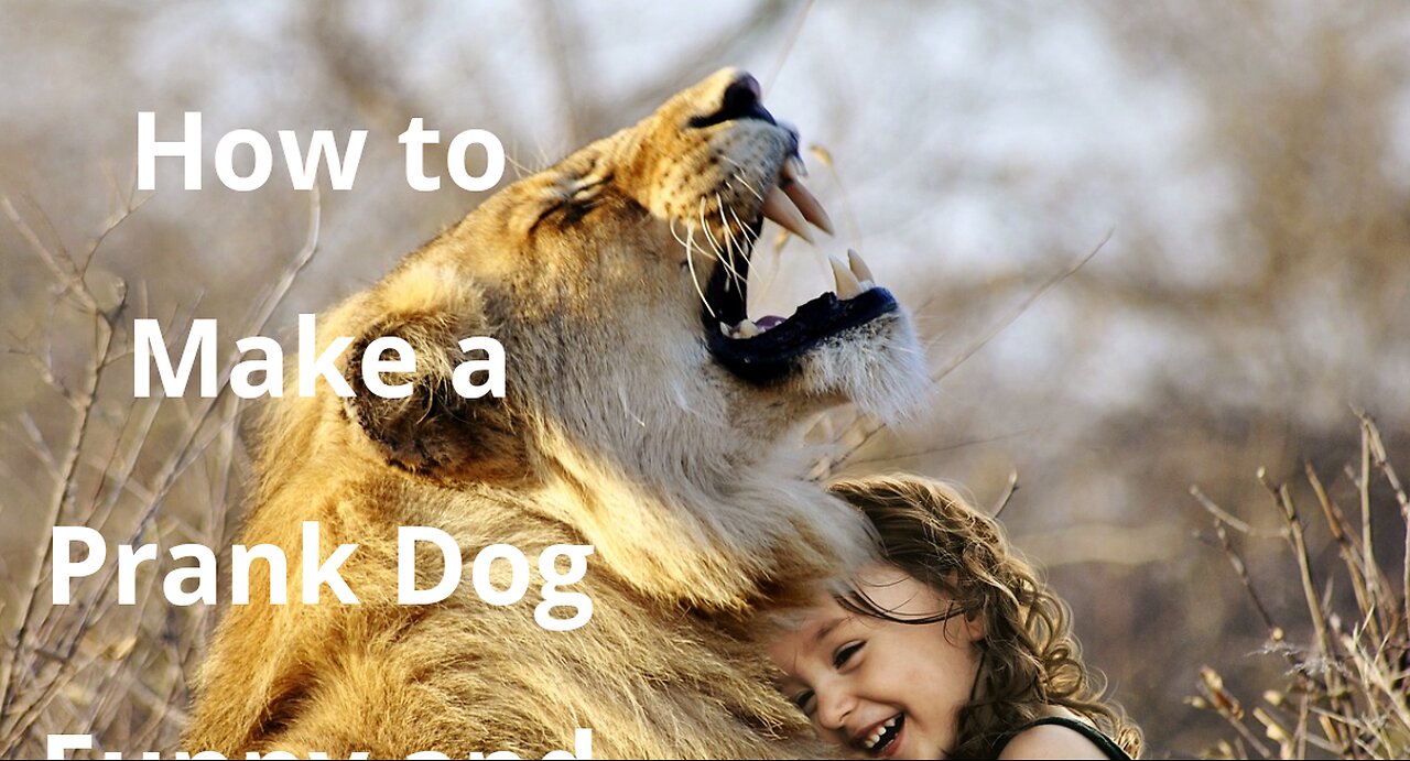 Troll Prank Dog Funny & fake Lion and Fake Tiger Prank To dog & Huge ...
