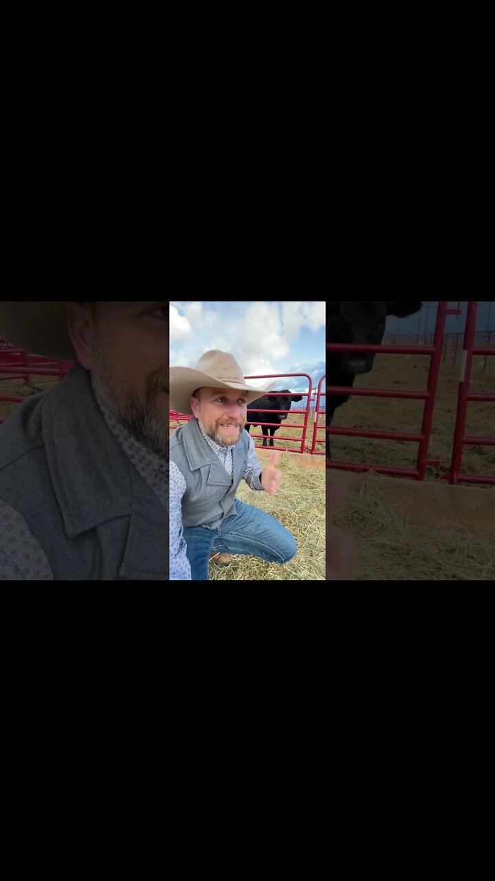 How to Become a Rancher in 2023