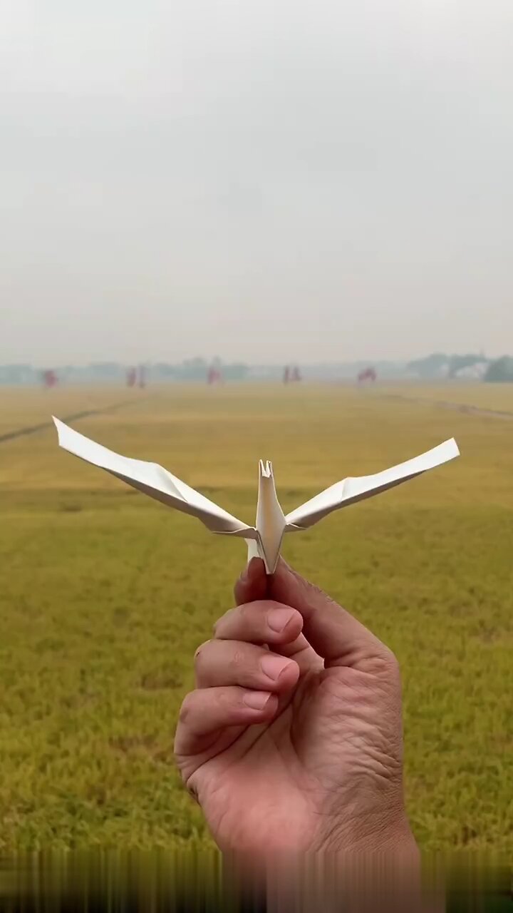 "Origami Mastery: How to Make a Paper Bird That Actually Flies!"