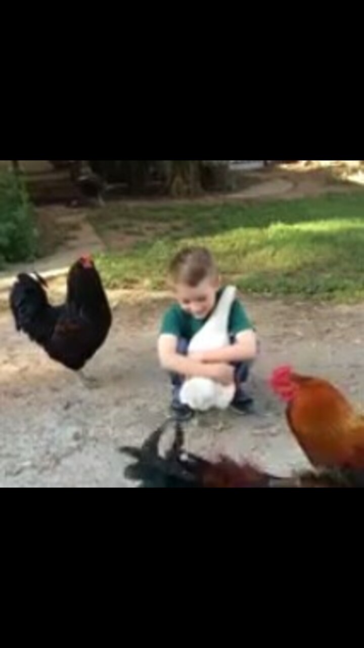 Little boy hug's Hen.