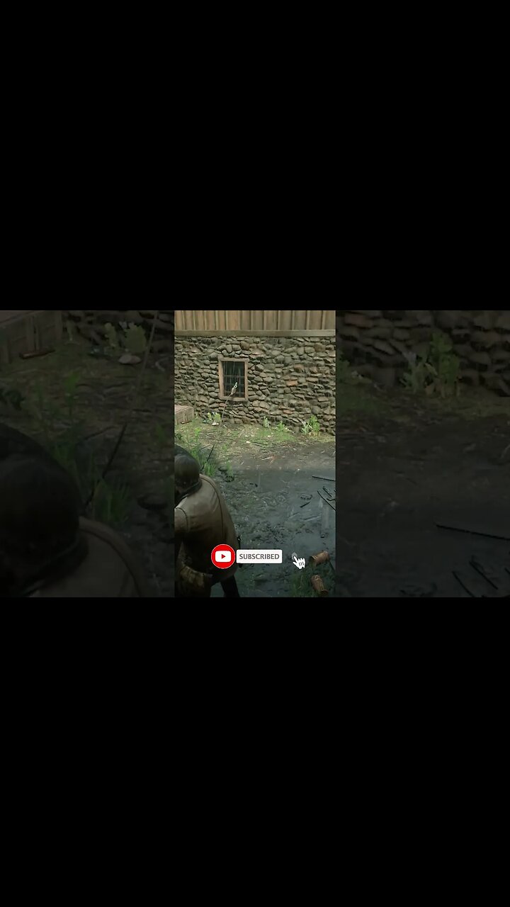 RDR2 || Like Share & Subscribe For More Video's || Red Dead Redemption 2