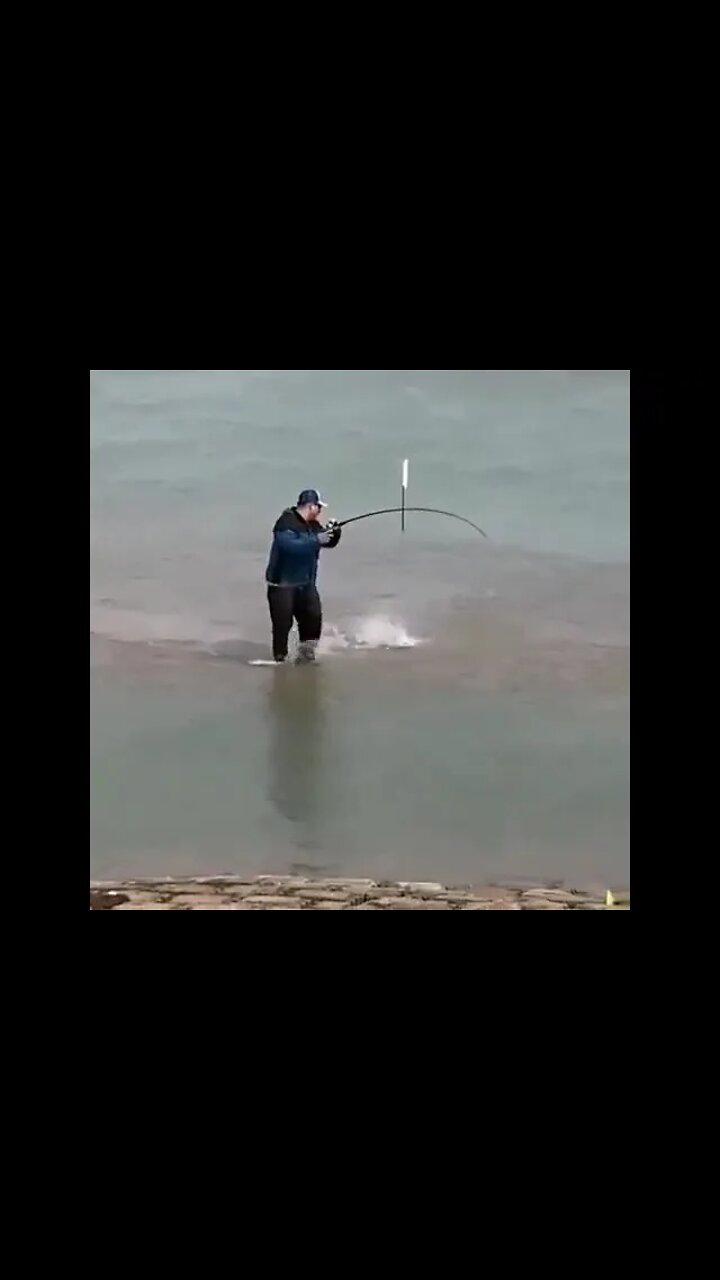 Amazing Big rohu fish catch || Incredible fishing