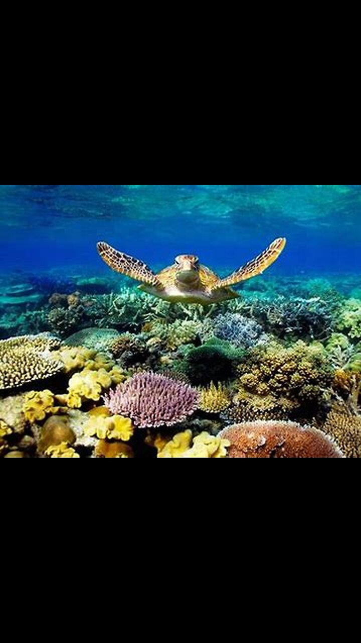 Paradise Hidden in Raja Ampat Indonesia