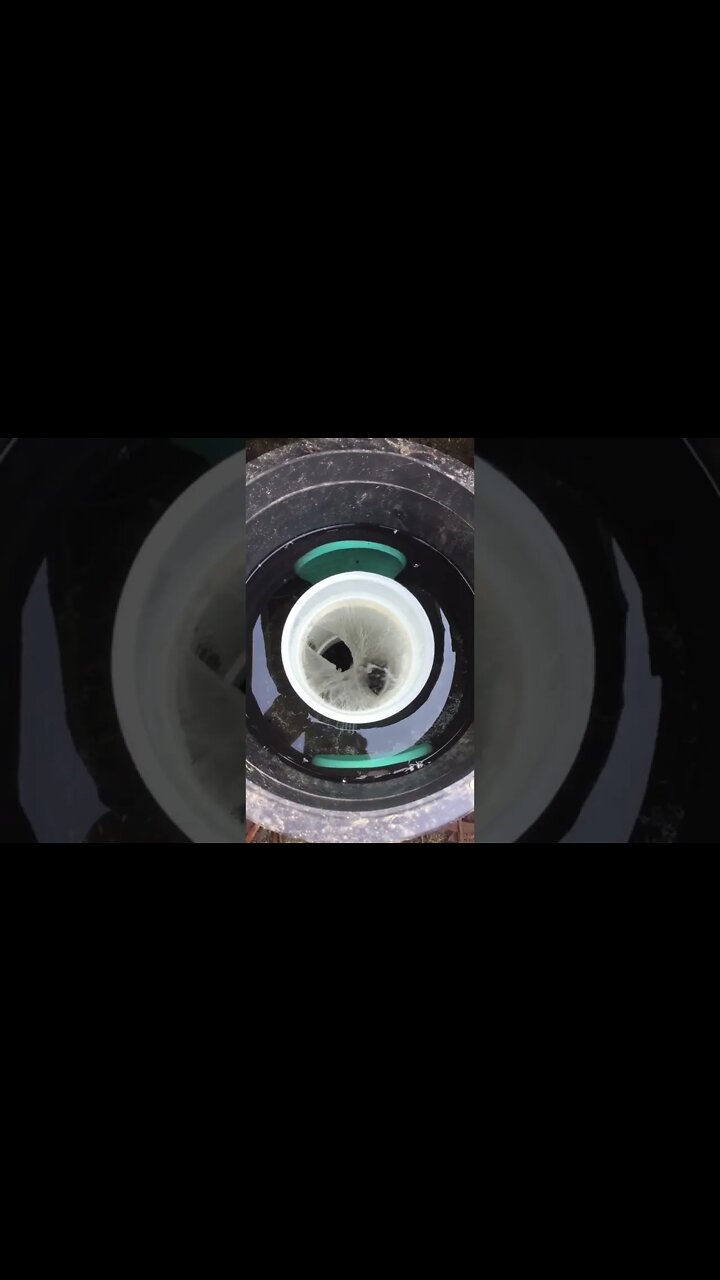 Drain Vault overflow