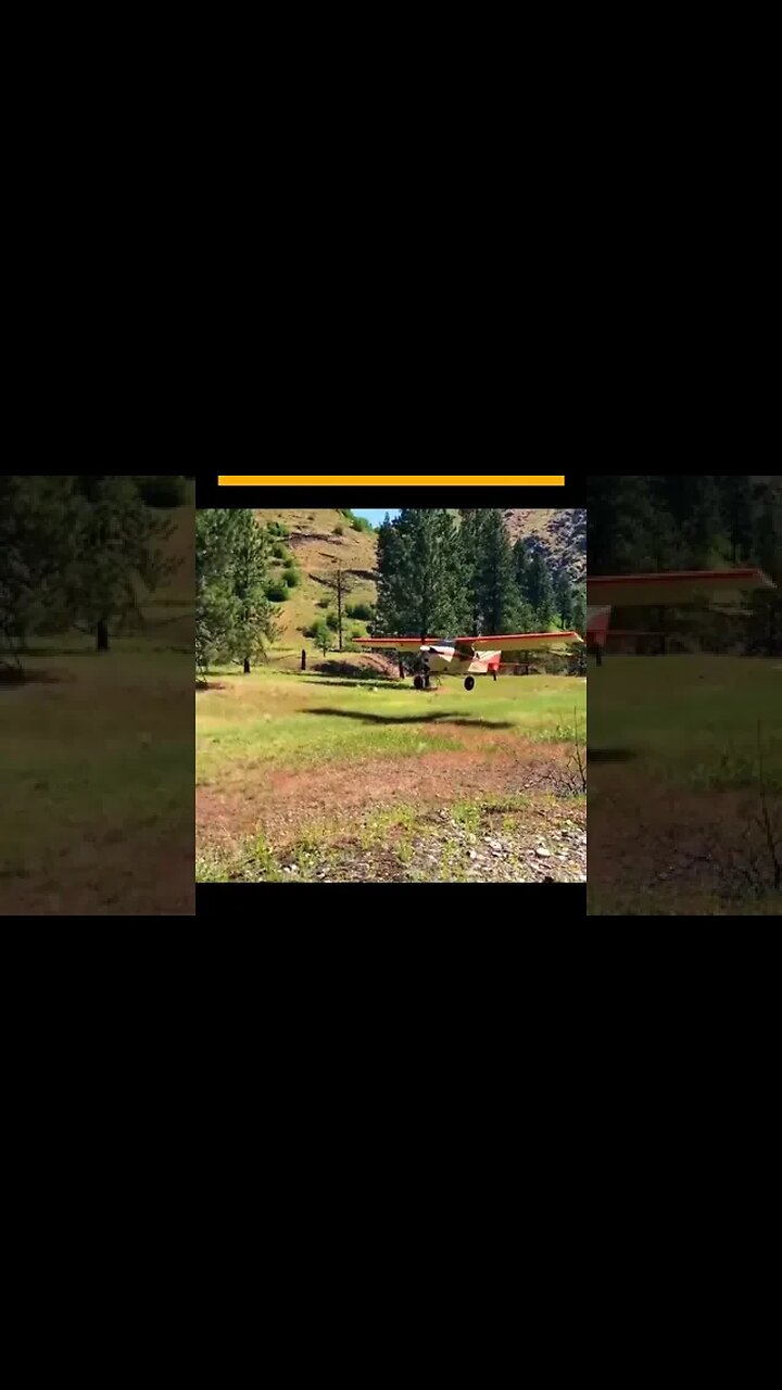 Incredible Smooth Landing in The Woods #Aviation #Flight