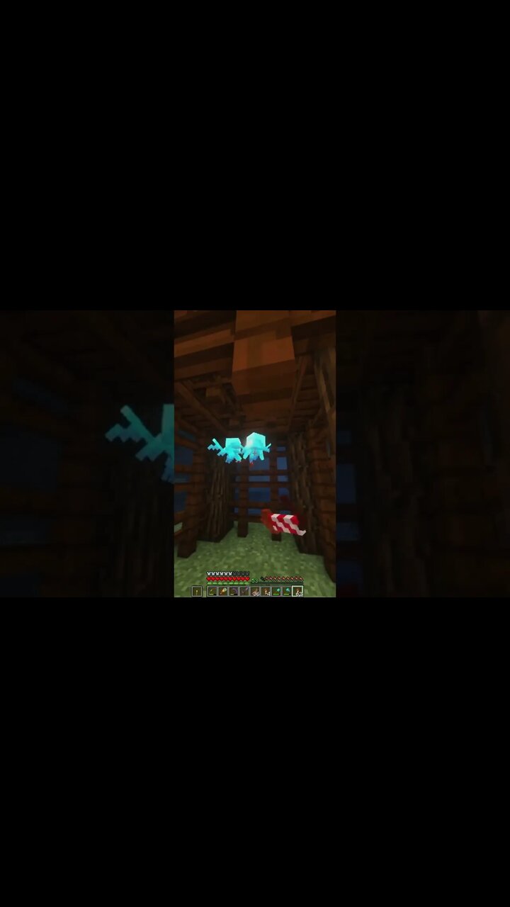 Minecraft 1.19 Server New Shaders & Mods Survival Multiplayer Java SMP ...