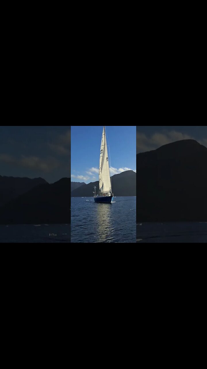 Are we crazy? Sailing through icebergs #sailing