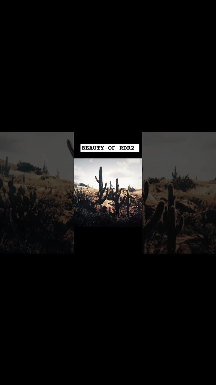 How Beautiful is Rdr2 | Ultra Realistic Graphics 4K | #RDR2 #rdr2edit