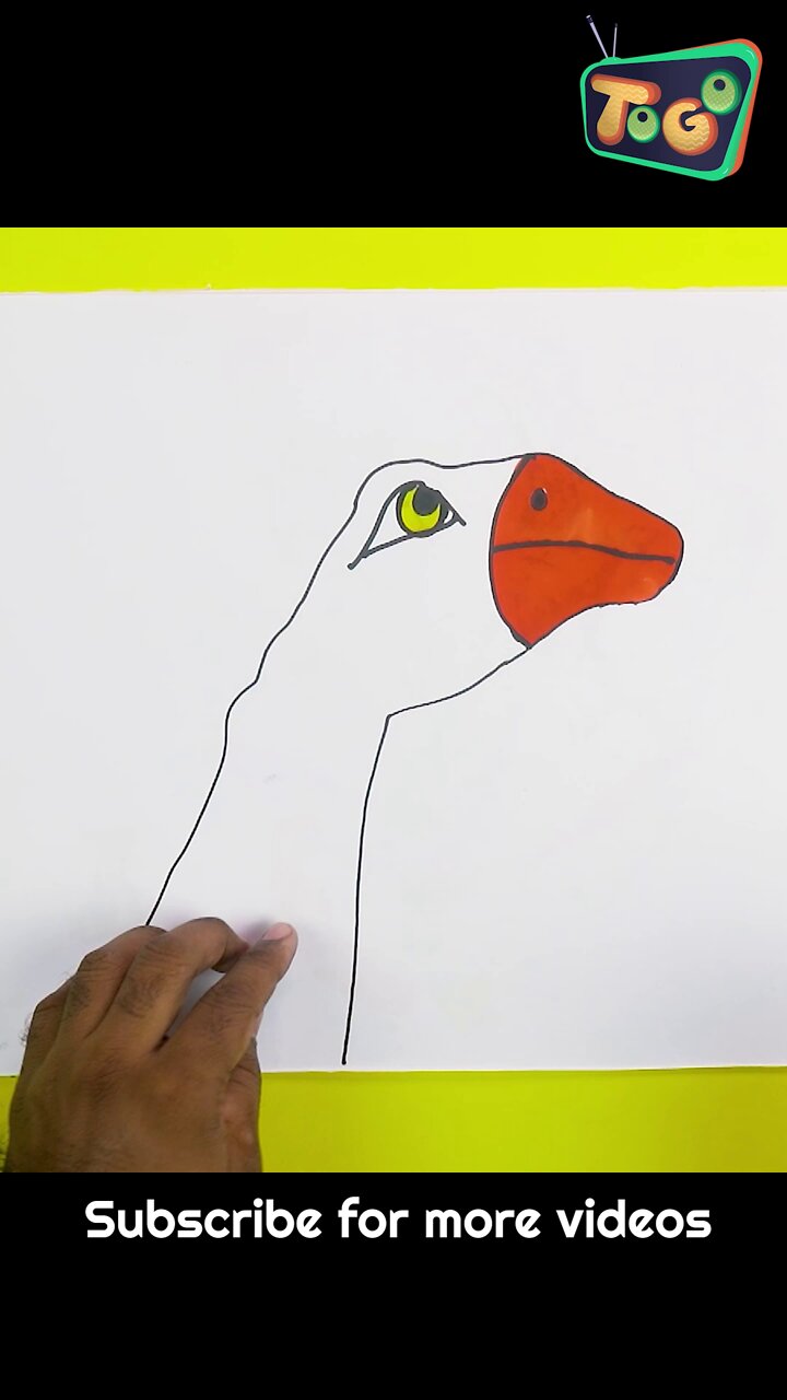 Draw a Swan