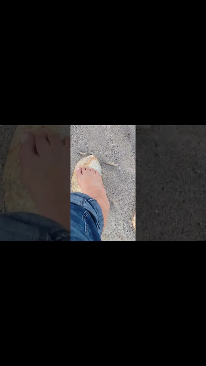 Grounding Pressure Points # grounding # pressure points # yoga ...