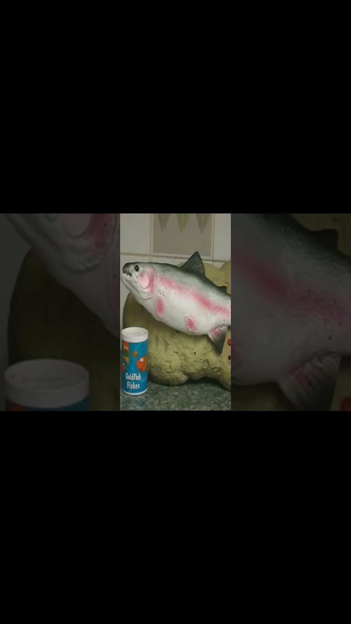 Possessed singing fish beware!! #meme #comedy #memes #sml #jeffy #plush ...