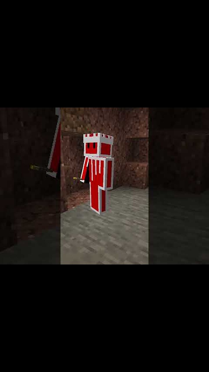 Types of Skins in Minecraft