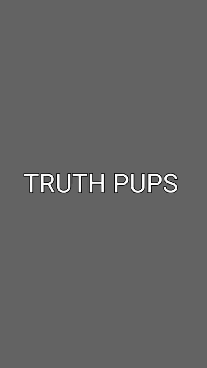 TRUTH PUPS NEWS Behind the scenes>]; The military operations leaks hit ...